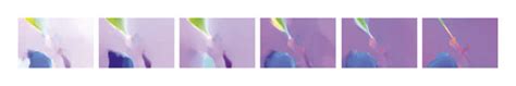 Visual Comparison Of Different Image Sequences From Different Database Download Scientific