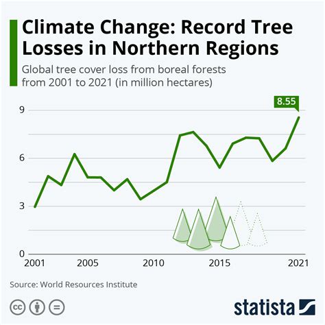 Boreal Forest Climate Graph