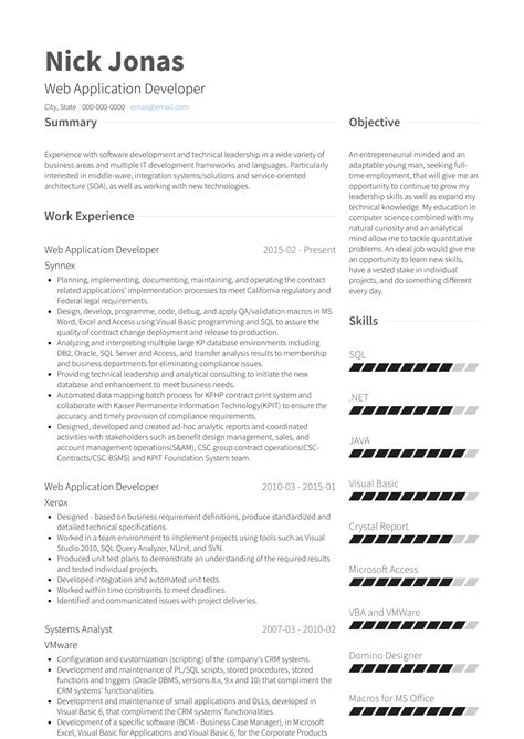 Application Developer Resume Samples And Templates Visualcv
