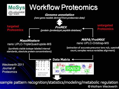 Workflow Proteomics