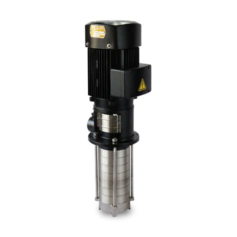 Gmvcp 4 Multistage Vertical Immersion Pump Rae Pumps