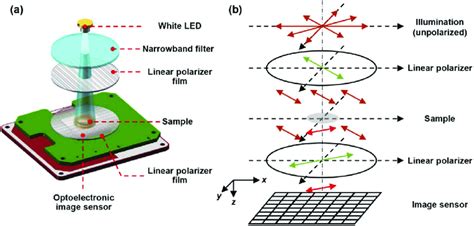 A The Optical Schematic Of Our Lensless Imaging System B The Download Scientific Diagram