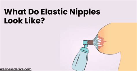 What Do Elastic Nipples Look Like A Comprehensive Guide