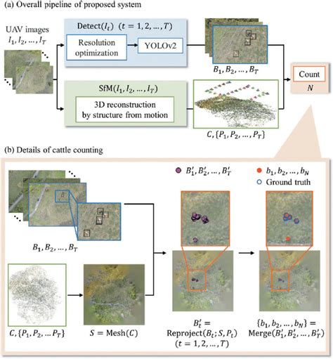 Flowchart Of Cattle Detection And Counting System A Series Of Uav Download Scientific Diagram