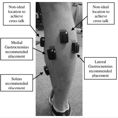 Pdf An Exploration Of Eliminating Cross Talk In Surface Electromyography Using Independent