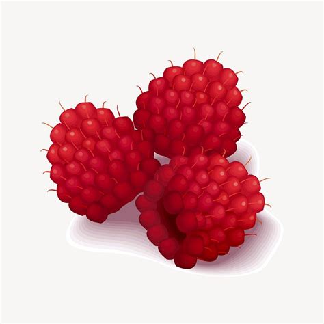 Raspberry Vectors Images Free Photos PNG Stickers Wallpapers Backgrounds Rawpixel