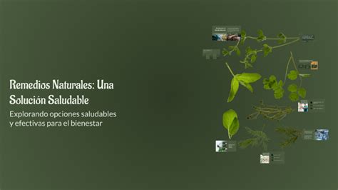 Remedios Naturales Una Solución Saludable By Bryan On Prezi