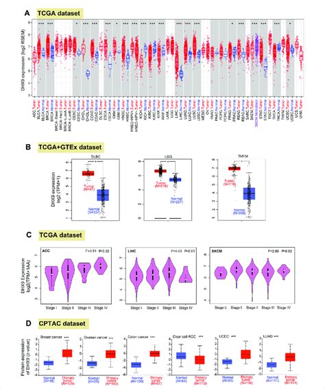 Differential Expression Patteerns Of Dhx9 Across Various Cancers And