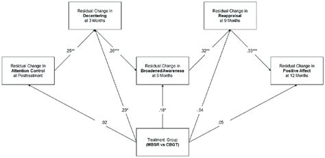 Final Multivariate Path Model Of The Mindfulness To Meaning Theory
