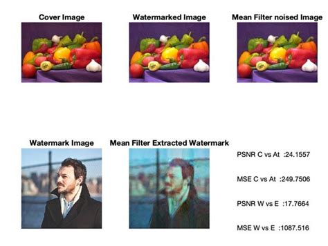 Resulted Images Using Optimal 030406 Alpha Values In Mean Filter Download Scientific