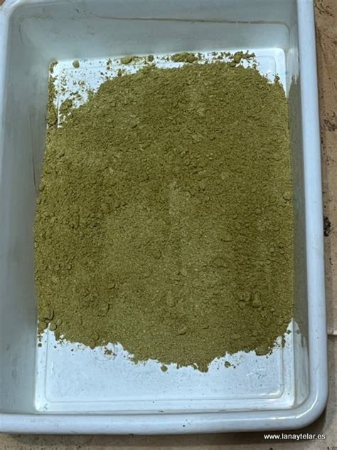 Zumaque Tinte Natural Con Alto Contenido En Taninos Lana Y Telar