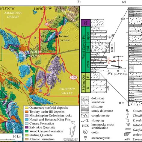 Diverse Assemblage Of Ediacaran Tubular Body Fossils From The Lower