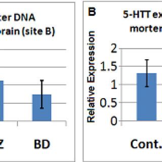 Promoter DNA Methylation And Expression And Analysis For HTT Gene In Download Scientific
