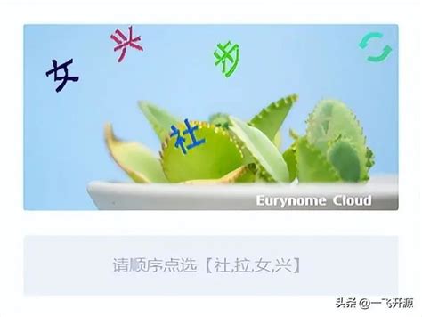 Springboot企业级技术中台微服务架构与服务能力开发平台 腾讯云开发者社区 腾讯云