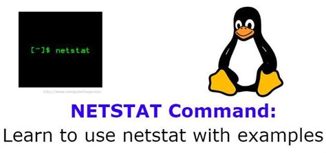 Netstat Command Learn To Use Netstat With Examples Linuxtechlab