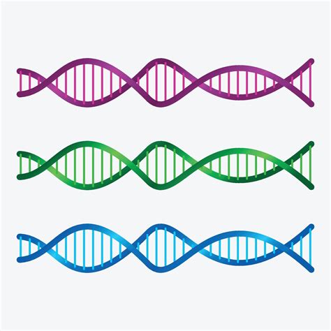 Illustration Of Dna With Different Colors Vector 22227925 Vector Art At