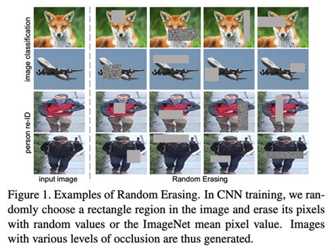 数据增强 图像遮挡:random Erasing Data Augmentation 知乎 数据增强 图像遮挡:random Erasing Data Augmentation 知乎