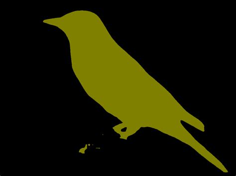 Torchvision Semantic Segmentation Pytorch For Beginners