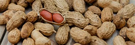 Peanut Nutrition Facts Fitness Blog