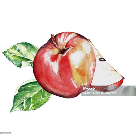수채화 세트 빨갛고 육즙이 많고 잘 익은 사과 엽서 패키지 디자인 가을에 대한 스톡 벡터 아트 및 기타 이미지 가을 건강한 식생활 과일 Istock