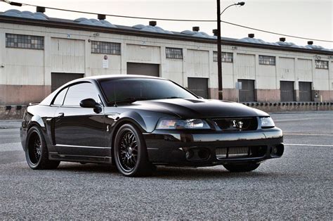 2003 Ford Mustang Cobra Terminator Wallpapers Wallpaper Cave