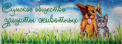 Сумское общество защиты животных Кто мы такие