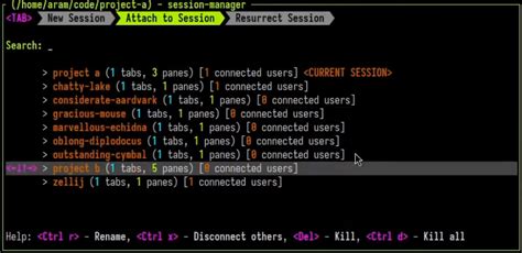 Session Management With Zellij