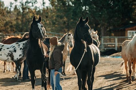 Ojava Crystal Peaks Youth Ranch