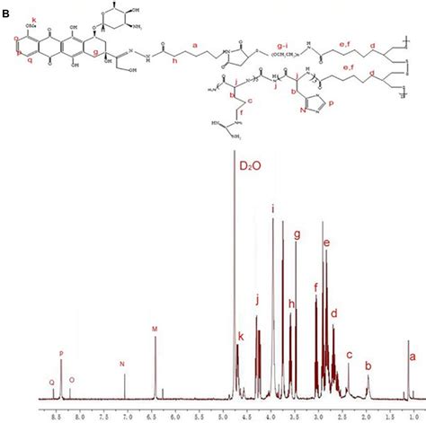 Tumor Microenvironment Multiple Responsive Nanoparticles For Targeted Ijn