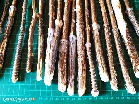 How To Make A Magic Wand Out Of A Stick Rhubarb And Wren