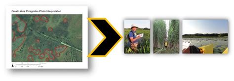 Great Lakes Coastal Wetland Mapping Michigan Tech Research Institute Mtri