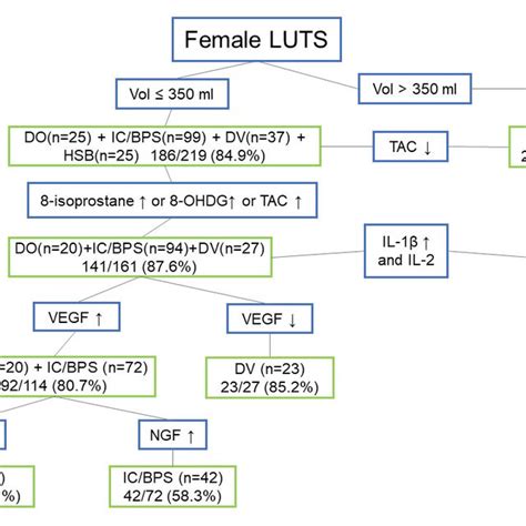 Diagnostic Algorithm Using Urinary Biomarkers To Identify Lower Urinary Download Scientific
