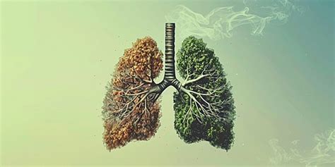 Tree And Pollution Background Images HD Pictures And Wallpaper For Free Download Pngtree