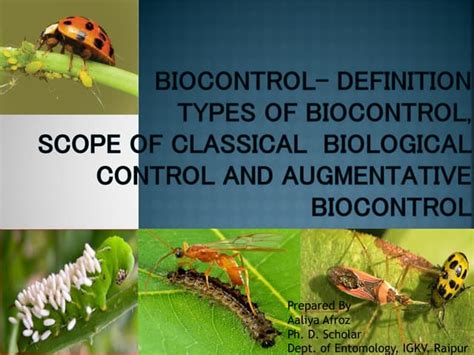 Introduction To Biological Control Of Insect Pests Pdf
