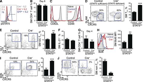 Stat5 Signaling Selectively Inhibits T Fh Cell Differentiation And Download Scientific Diagram