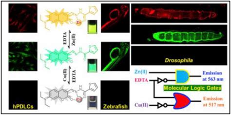 Graphical Representation Of Schiff Base Download Scientific Diagram