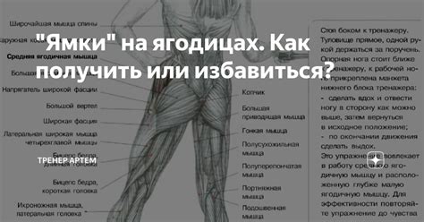 Ямки на ягодицах Как получить или избавиться Тренер Артём Дзен