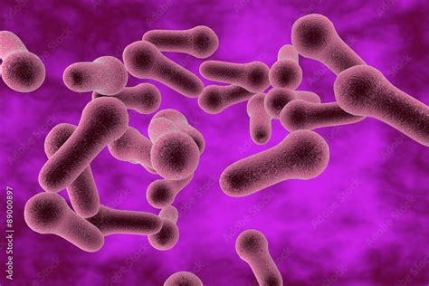 Microscopic Illustration Of Clostridium Tetani Clostridium Perfringes Clostridium Difficile