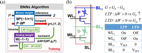 A Schematic Of Bnns Algorithm The Weight Updating Is Analog While Download Scientific