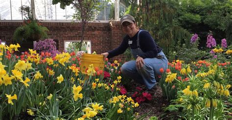 Volunteer Spotlight Janet Sieff Phipps Conservatory And Botanical Gardens Pittsburgh Pa