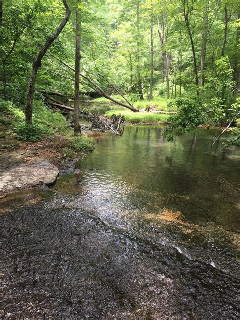 Visit White Bluff 2026 Travel Guide For White Bluff Tennessee Expedia
