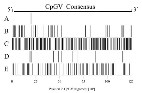 Distribution Of Snps Specific To One Of The Five Genome Groups A To E