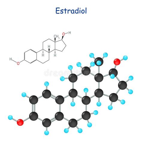 Estradiol Hormones Molecular Formula Stock Vector Illustration Of
