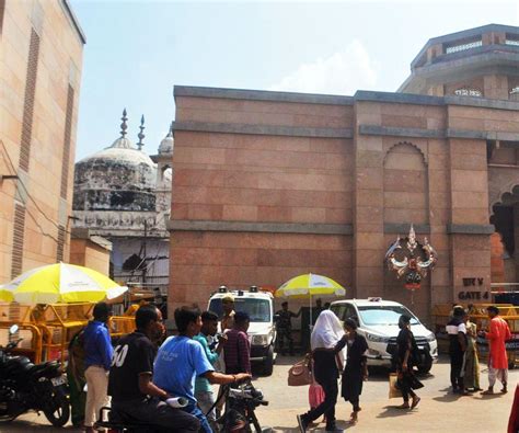 Hc Admits Plea Challenging Permission For Carbon Dating Of Gyanvapi Shivling