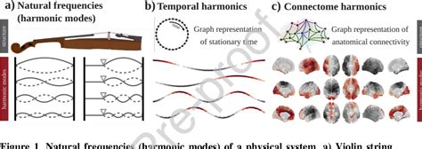 Figure 1 From The Coupling Between The Spatial And Temporal Scales Of Neural Processes Revealed