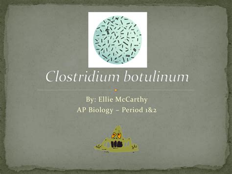Clostridium Botulinum