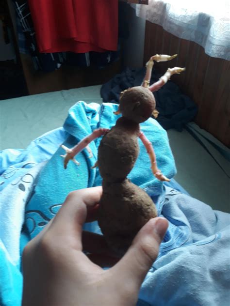 Potato Man Scrolller