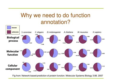 Ppt Geneprotein Function Annotation Powerpoint Presentation Free Download Id3868899