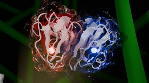 The Scientific Revolution Behind The Theory Of Evolution