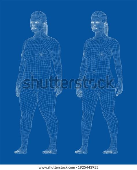 Fat Slim Woman Before After Weight Stock Vector Royalty Free